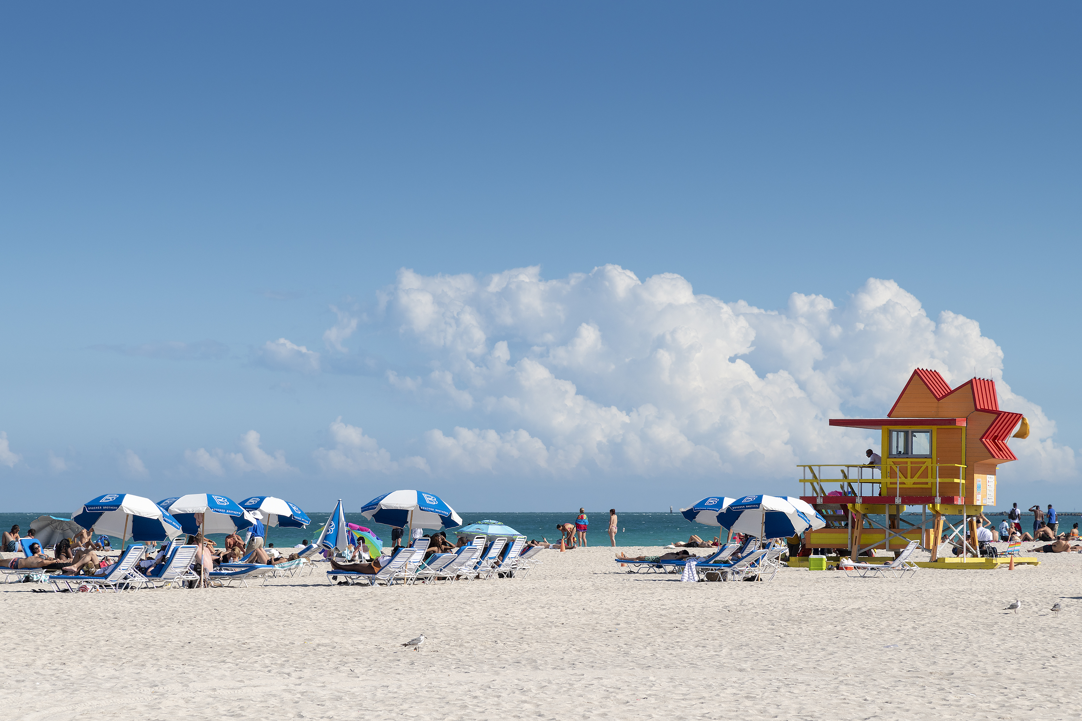 Hotel Near South Beach | The Penguin Hotel